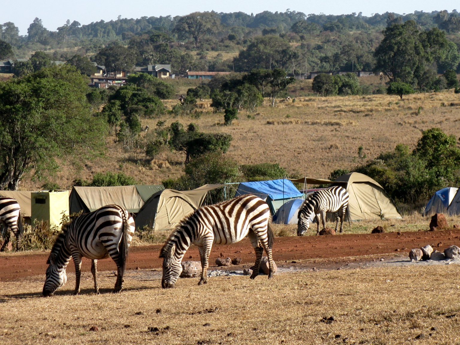 Nyani Campsite