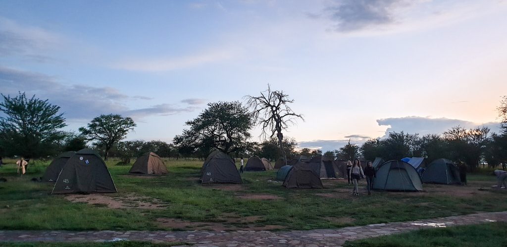Nyani Campsite