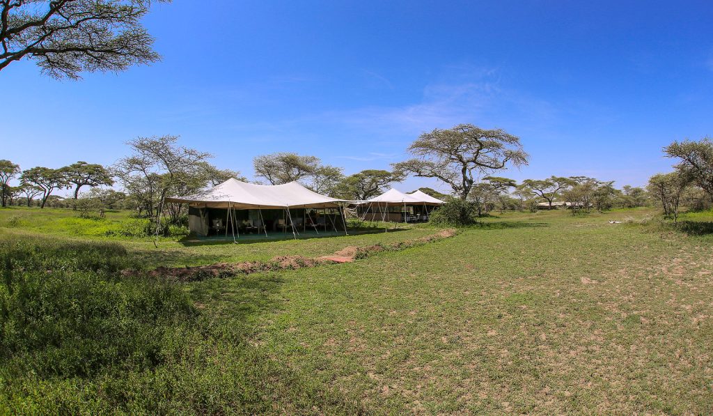 Ndutu Wilderness Camp
